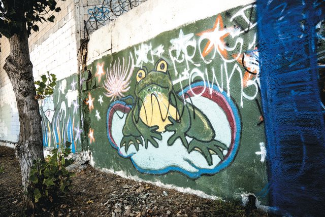 Could Frogtown Be East L.A.'s Coolest Neighborhood? | C Magazine®
