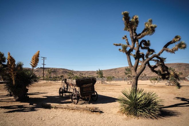 Shifting Sands in the High Desert | C Magazine®