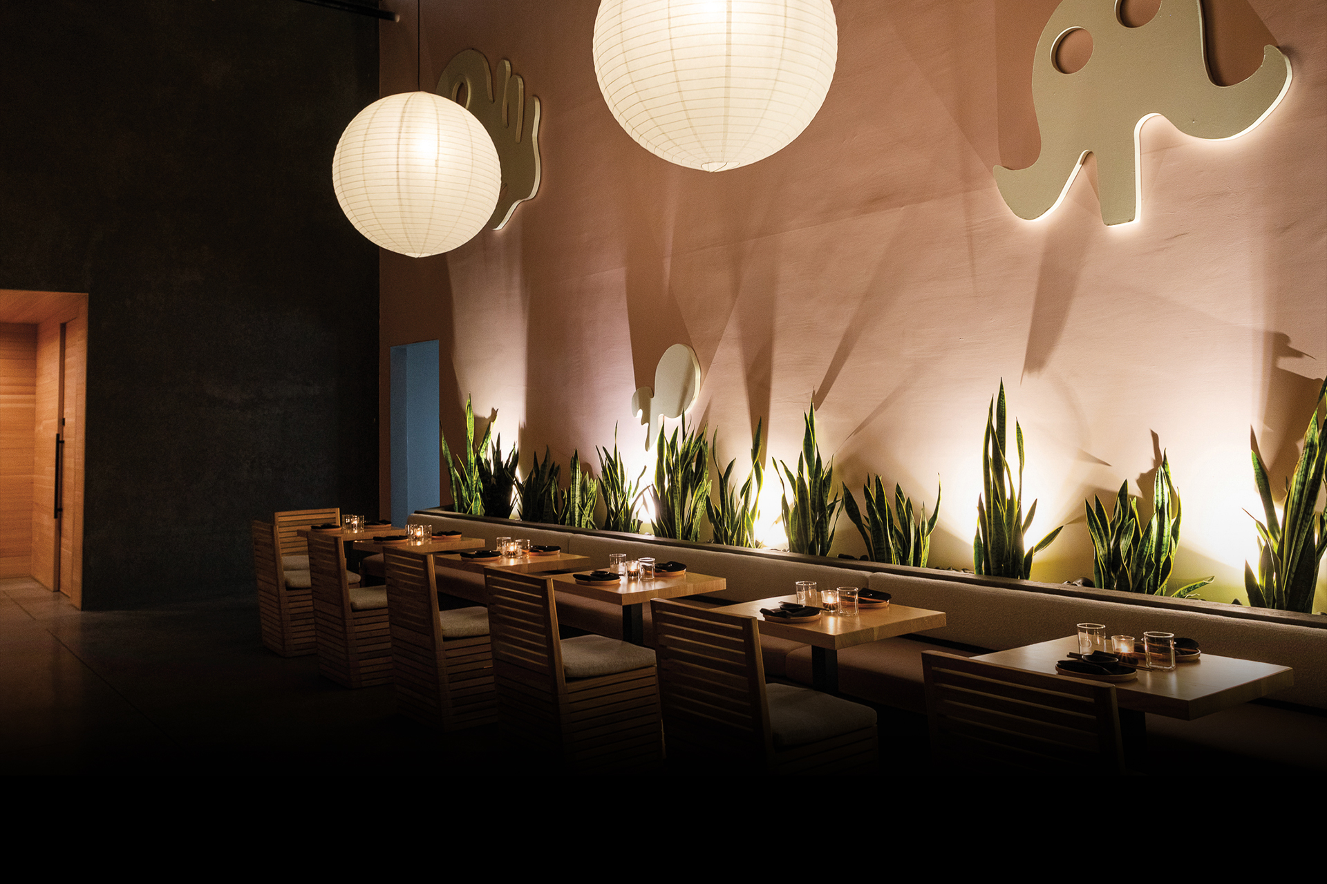 Why You Need to Go Fiish | C Magazine®