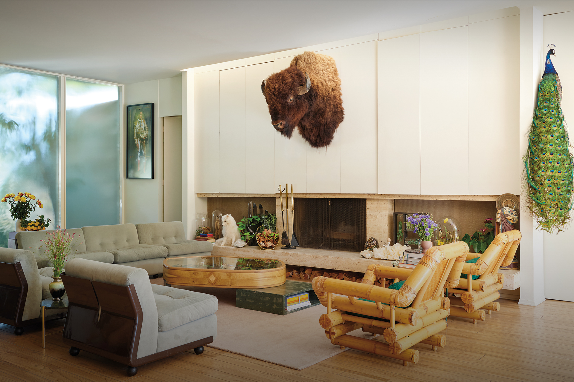 Welcome to the Animal House | C Magazine®