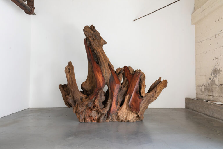 Making Art Among The Redwoods | C Magazine®