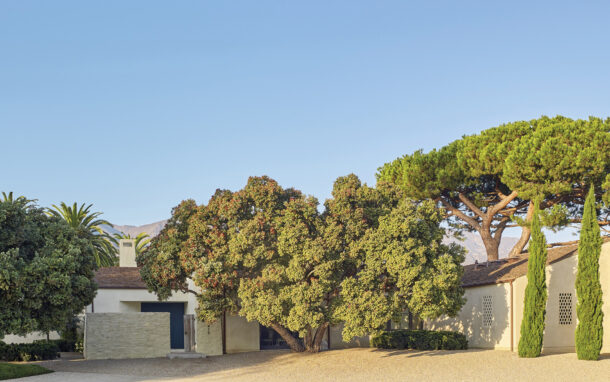 Celebrating the Inimitable Suzanne Rheinstein | C Magazine®