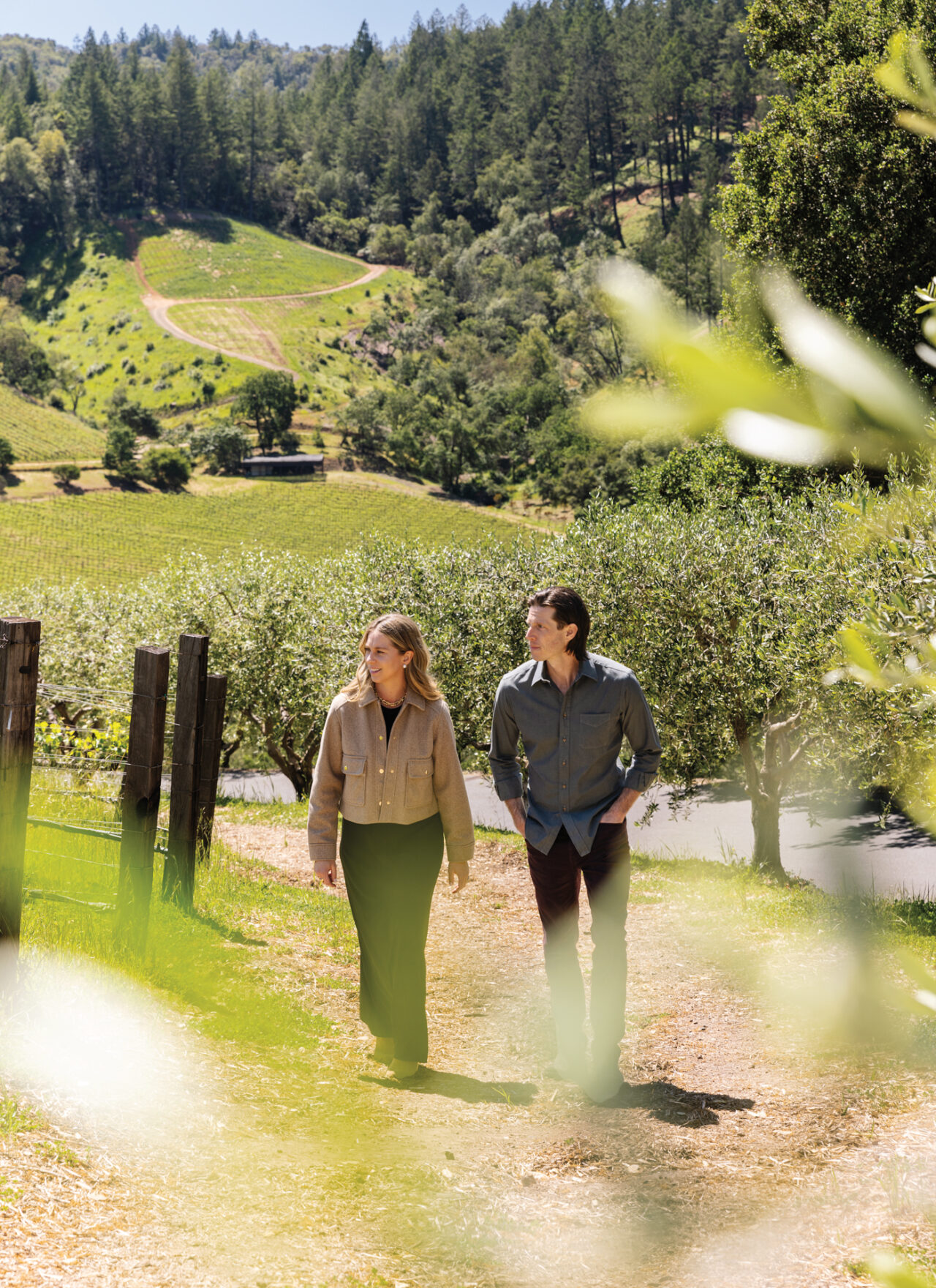 Harlan Estate Turns 40 | C Magazine®