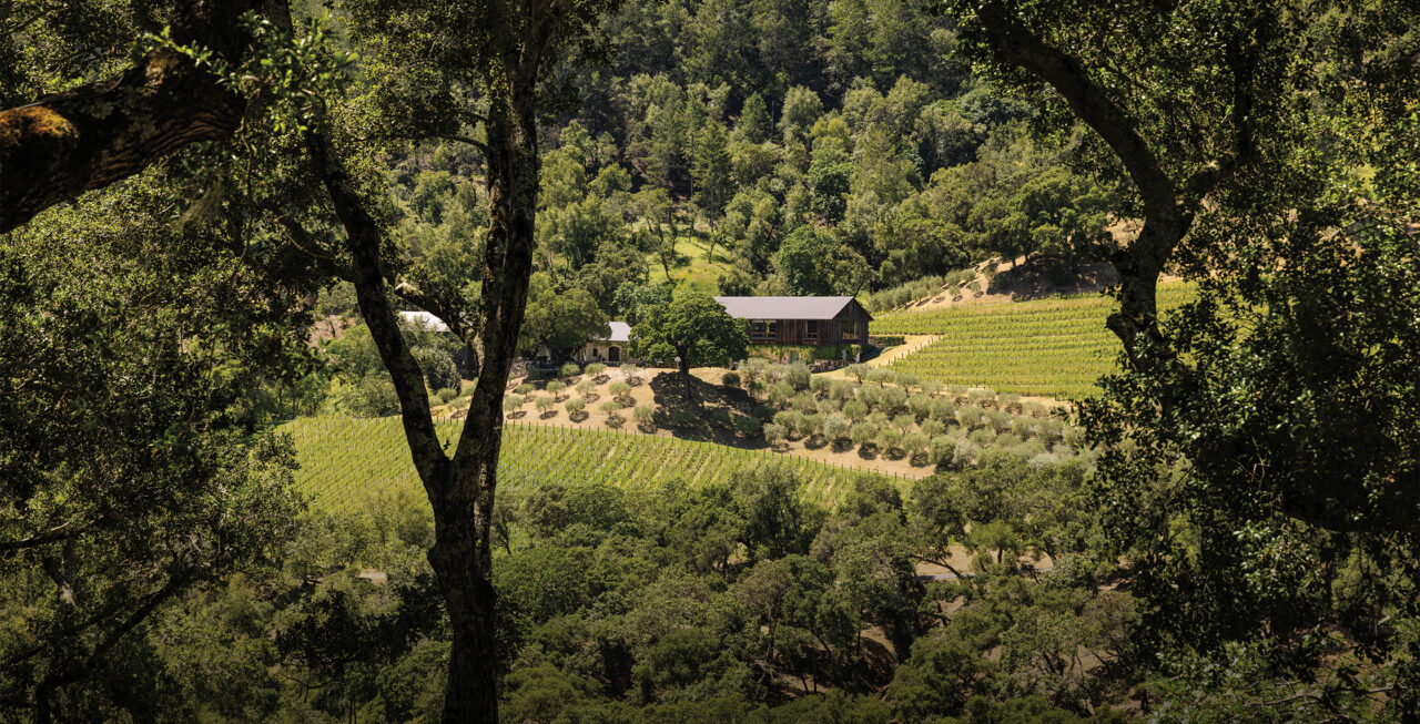 Harlan Estate Turns 40 | C Magazine®