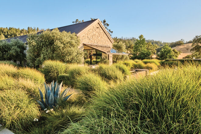 This Sonoma Ranch Came With Some Unexpected Guests | C Magazine®