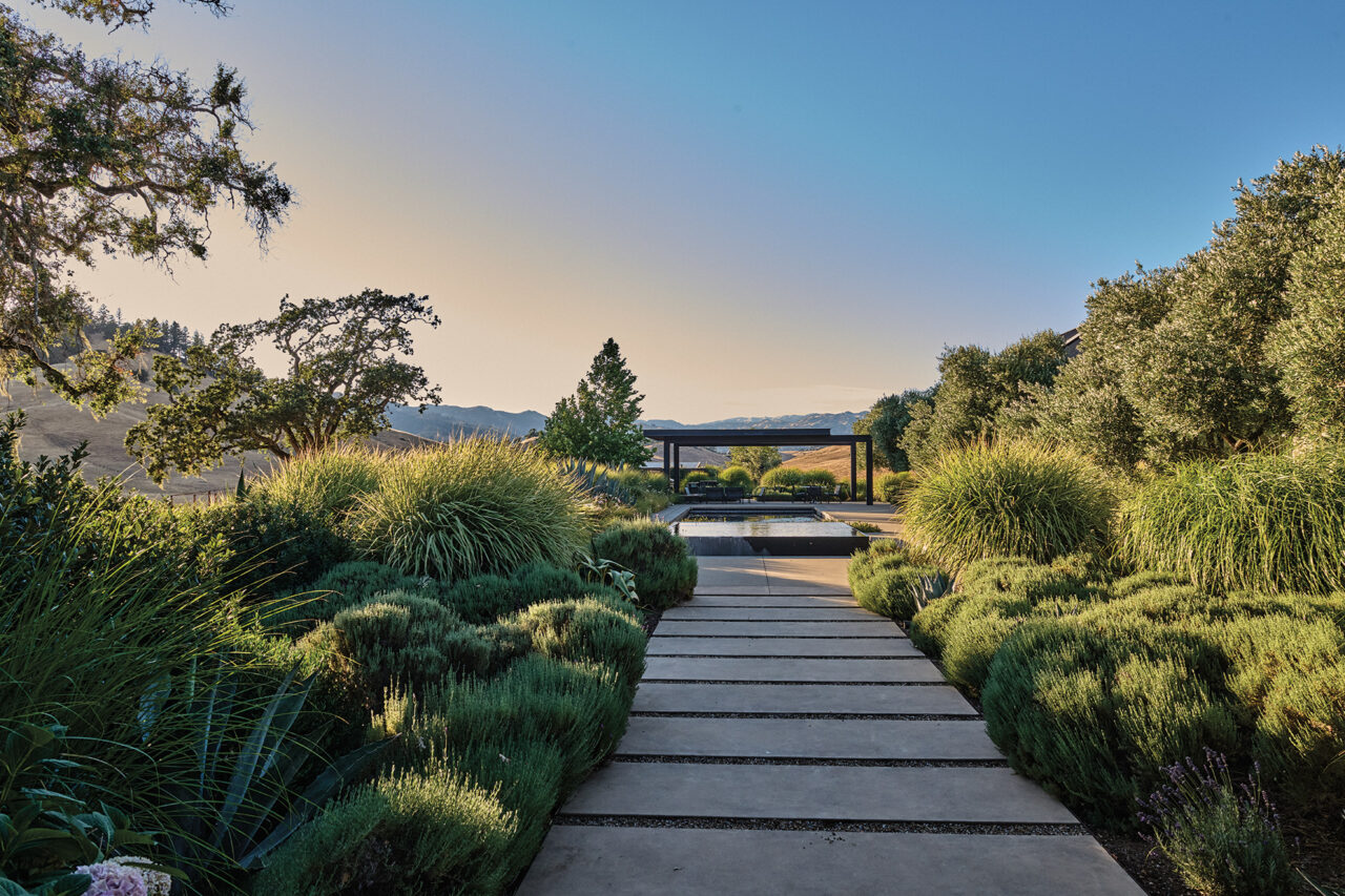 This Sonoma Ranch Came With Some Unexpected Guests | C Magazine®