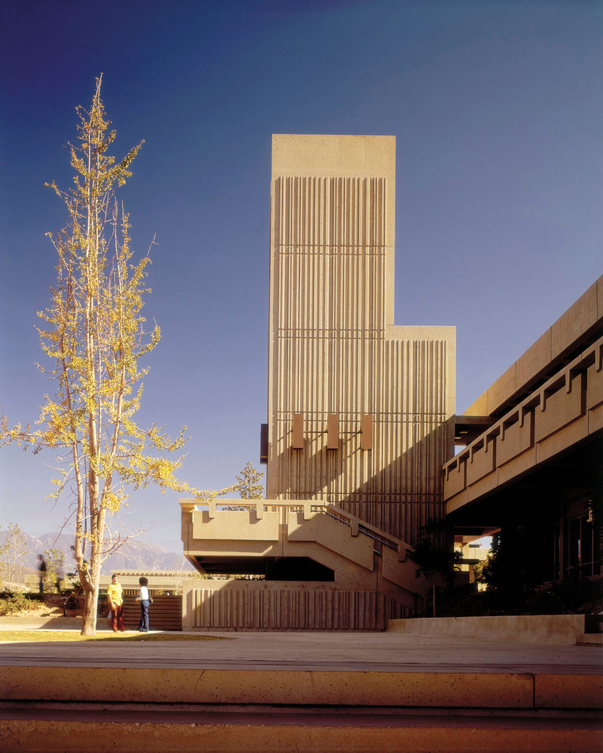 How Nature Nurtured the Palm Springs School's Desert Architecture | C ...